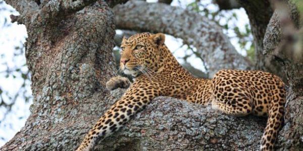 Kitulo National Park - Alkanjaoi Tours & Safaris